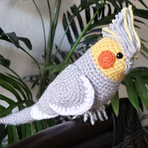 Crochet parrot DIY pattern Easy Tutorial PDF Amigurumi | Etsy