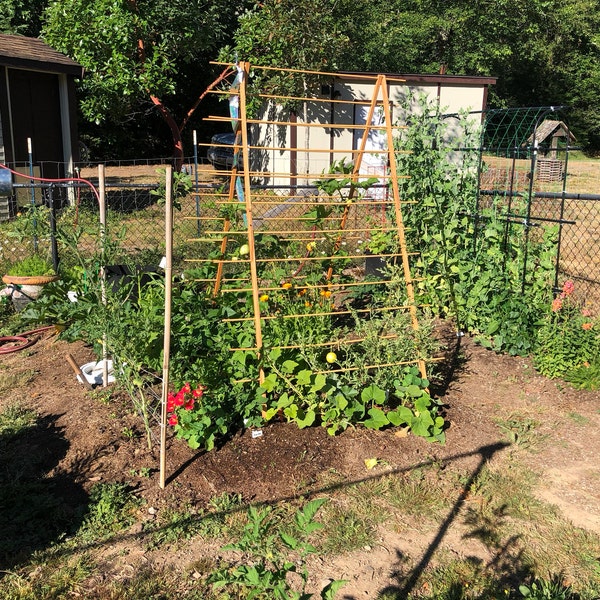 Plant Play Ground - Hardwood Trellis, for Active Plants - Etsy