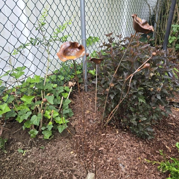 Mitten Tree/hat and Glove Drying Rack/housewarming Gift/home Decor - Etsy