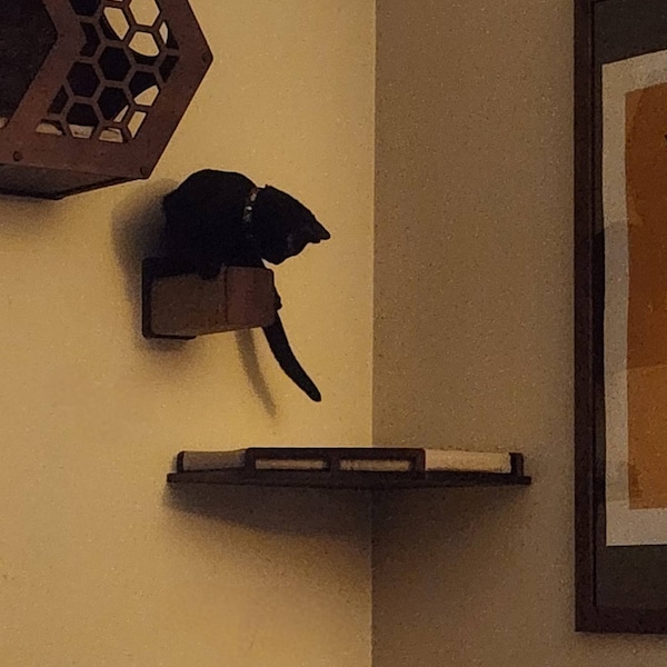 Wall Mounted Cat Scratching Post, Modern Cat Wall Furniture, Cat ...