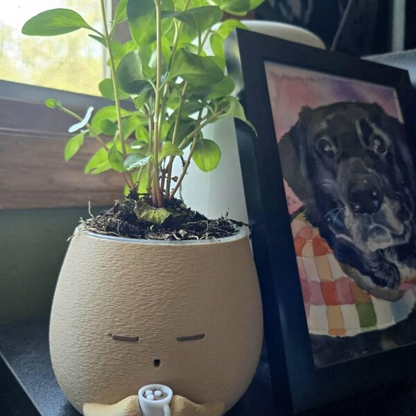 Hanging Black Duck Planter Cute Animal Plant Pots 3D Printed Ugly ...