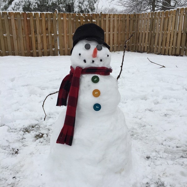 Snowman Kit Snowman Face Build a Snowman Party Favor Winter is Coming ...