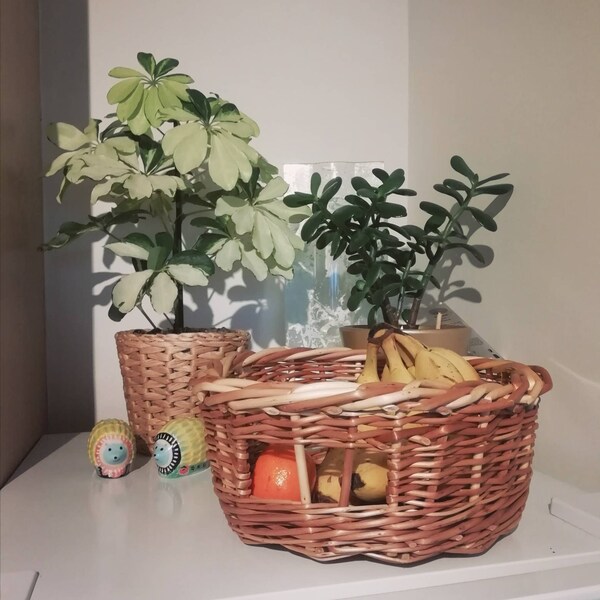 Basket Making Kit - Small Basket | DIY | Craft Kit | Handmade | Gift - Etsy