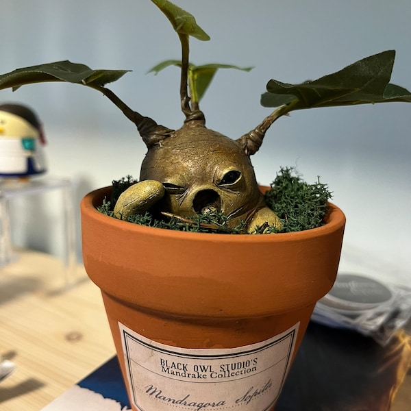 Mandrake With Pot - Hand Painted - Etsy