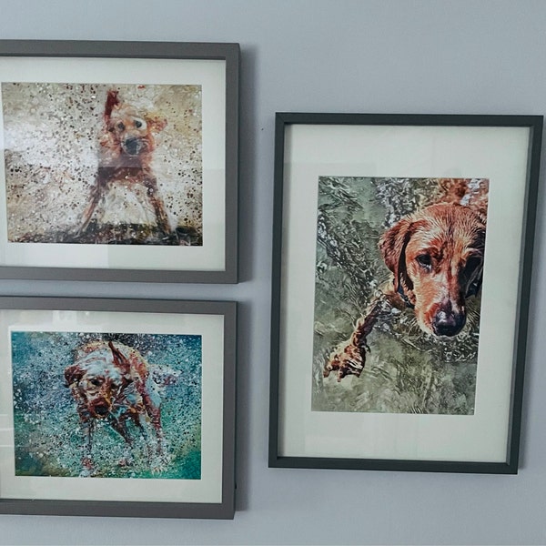 Fox Red Labrador Shaking Splash Print - Labrador, Puppy, Dog, Art ...