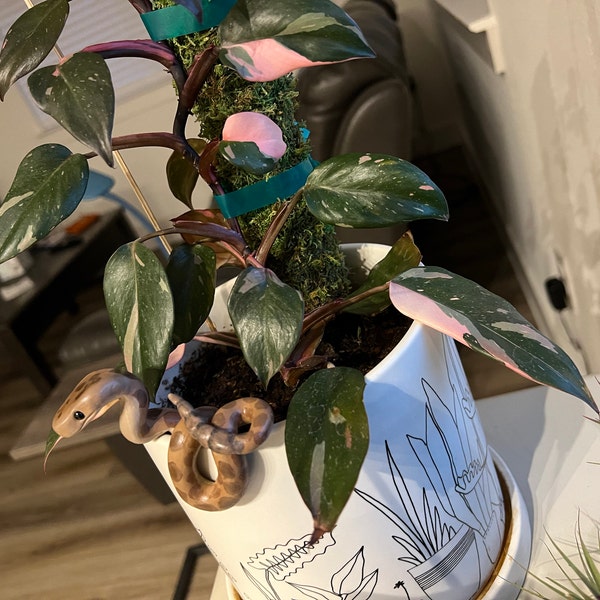 Set of 3 Snakes, Bookcase Snake, Planter Snake, Table Top Snake 3 ...