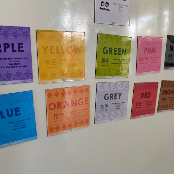 Human Body Anatomy Apron & Organs Sewing Pattern Printables - Etsy