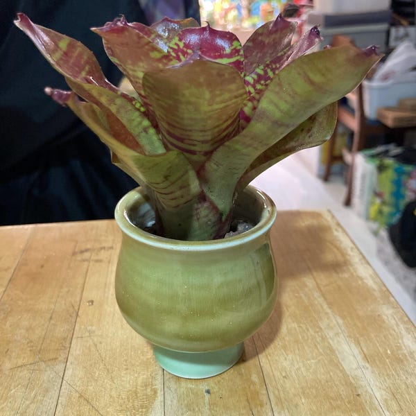 5 1/4"inches glaze Retro style Tank Pot Planter Pot Succulent Pot - Etsy