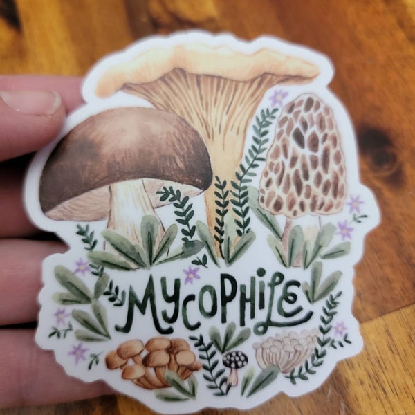 Squirrel Reading Art Print, Forest Kid's Room Decor, Squirrel ...