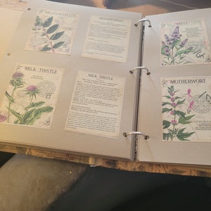 6 Different Antique Garden Roses Seed Packets DIGITAL Sheet | Etsy