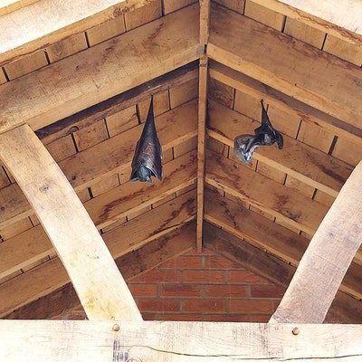 Hanging Bat With Folded Wings. Handcrafted Metal Bats, Outdoor Bat ...