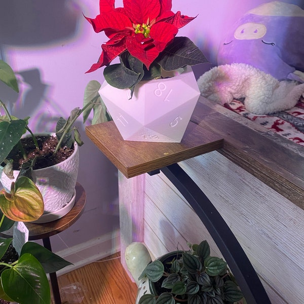 D20 Planter | Dnd Dice | 3D Printed | Hand-painted | Houseplants Pots ...