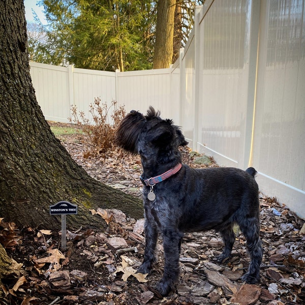 Plant Labels, Plant Tags, Plant Markers, Garden Stakes, Plant Name Tags ...