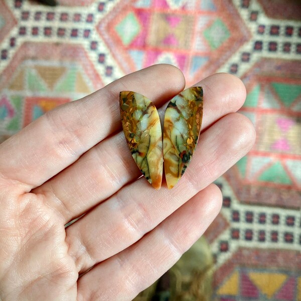 River Jasper Pair Just Like Ocean Jasper : Size 22164 Mm Weight 5,6 ...