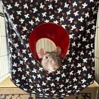 Rat Toy Sampler Bundle, Dig Basket, Ball, Pom Pom, Apple Wood Chew ...