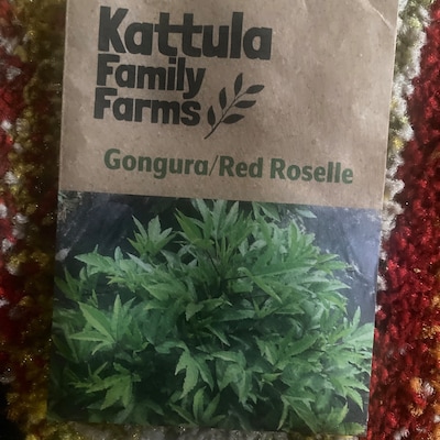 Bharta Baingan Seeds From Punjab India - Etsy