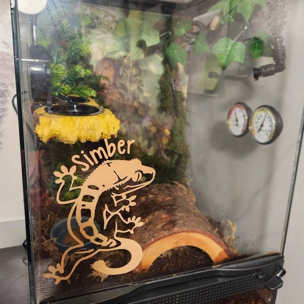 Crested Gecko Decal Customizable Enclosure Decor, Gecko Decal, Reptile ...