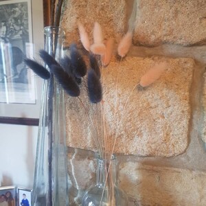 20 Stems - Dried Lagurus Grass, Dark Grey (bunny Tails) / Dried Fluffy ...