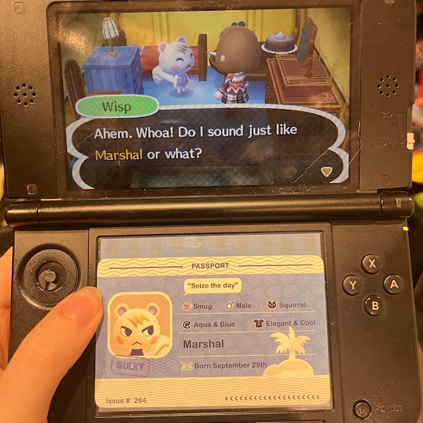 Carte ami*bo Animal Crossing de style passeport | Tous les villageois ...