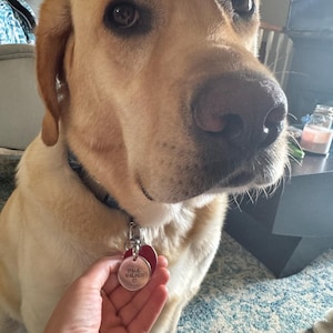 Simple Custom Hand Stamped Dog Tag, Dog Tags for Dogs, Pet Id Tag ...