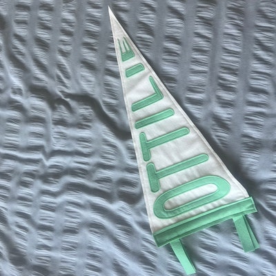 Muted Rainbow Wonderful Pennant Flag - Etsy