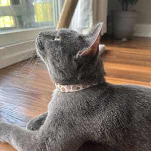 Retro Checkered Cat Collar With Bell, Colorful Male Cat Breakaway ...