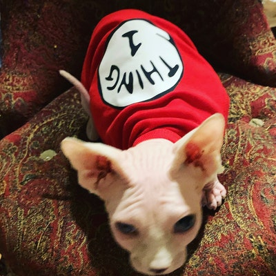 Matching Cat Tank Tops Funny Matching Cat Shirts, Matching Cat Outfit ...