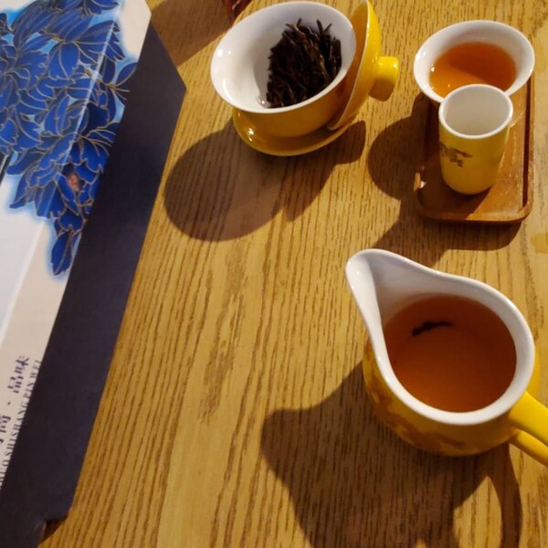 Travel Gong Fu Chinese Tea Set Bird Flower - Etsy