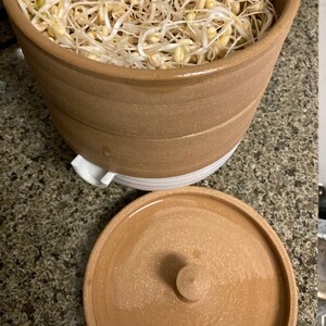 Farmhouse Sprouter Terra Cotta Microgreen Sprouter Modern Rustic ...