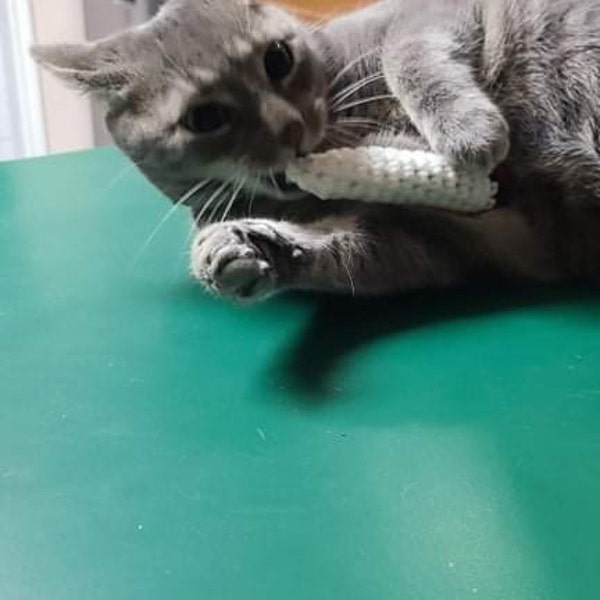 Handmade Crochet Catnip Doobie, Novelty Cat Toy - Etsy