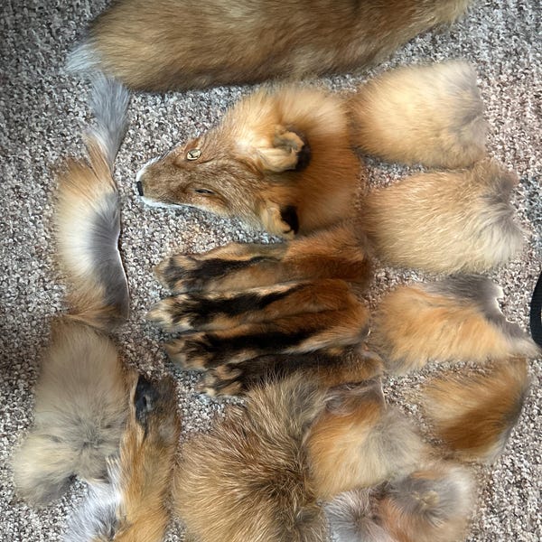 Alaskan Cross Fox Trapper Hat - Etsy