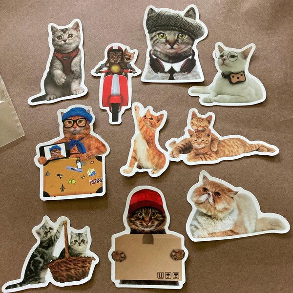 5-50 Pack Physical Therapy Stickers for Laptops, Skateboards, Phones ...