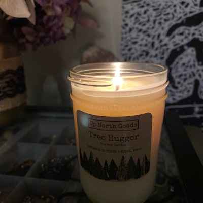 Please Light When Pooping Soy Candle - Etsy