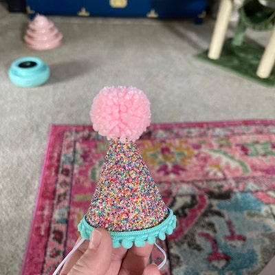 Cat Birthday Hat Pet Party Hat Puppy Birthday First Birthday Puppy First Birthday Birthday Party ...