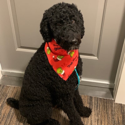 Autism Spectrum Awareness Puzzle Piece Tie on Dog Bandana - Etsy