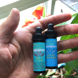 Lucid Dreams Dreaming Elixir Crystal Essences and Wild - Etsy