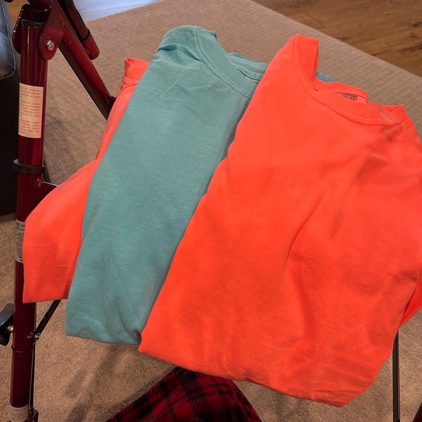 Comfort Colors Neon Tees, Cotton Garment Dyed Blank Tshirts, 1717 - Etsy