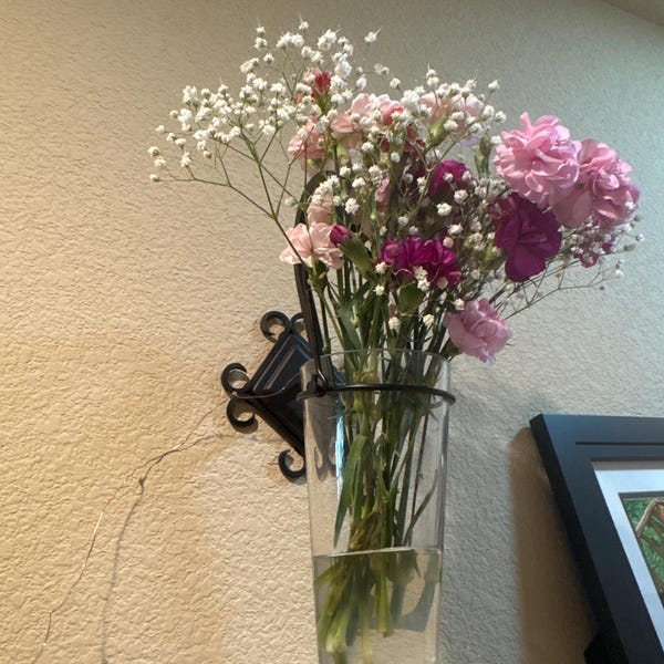 Almere Hanging Vase With Wall Hook | Glass Flower Vase for Home Decor ...