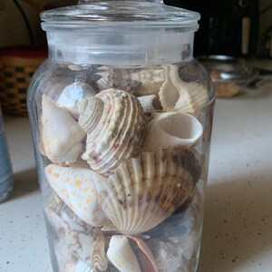 Rubber Ice Cap Miller Rubber Sundries Ice Cap 251 Oval - Etsy