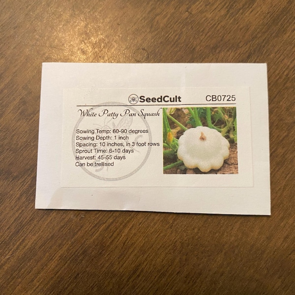 Astrantia Major Rose Symphony Seeds, Masterwort, Hattie’s Pincushion ...