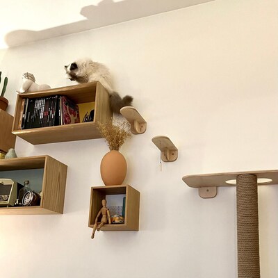 3D Modular Cat Furniture set of 5 Modules, Best Indoor Cardboard Cat ...