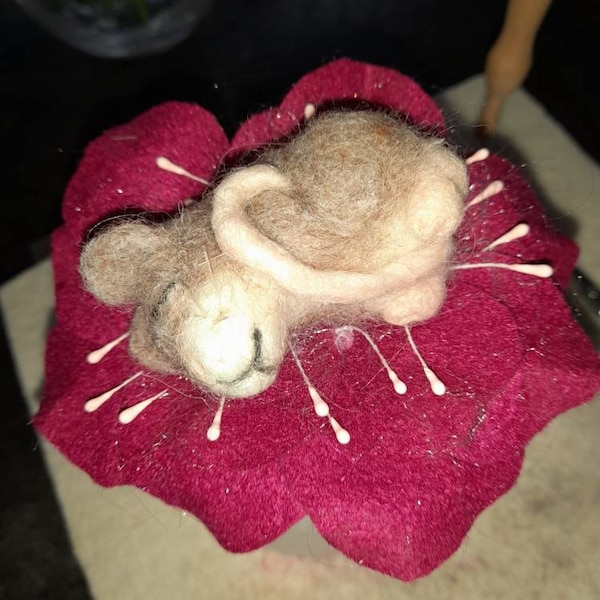 Needle Felting Border Collie Picture Kit - Etsy