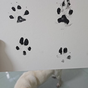 No-touch Inkless Baby Hand and Footprint Kit Painless Perfect Prints ...