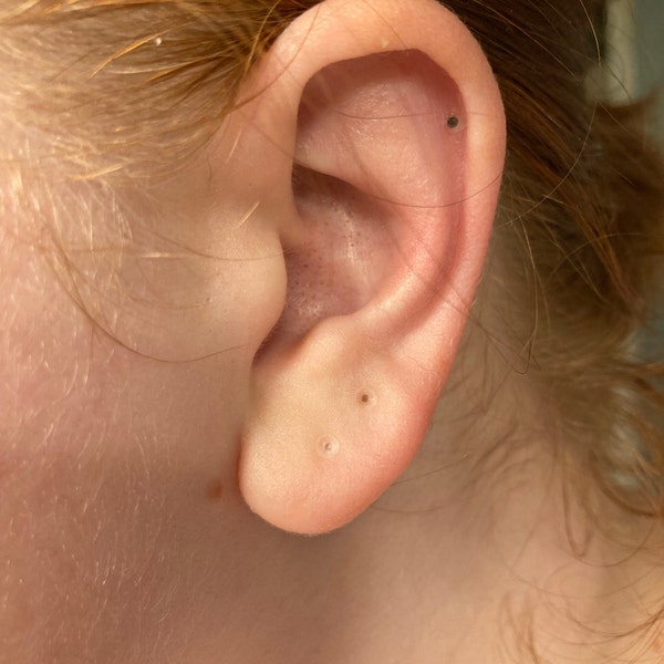 Clear Septum Retainer. Invisible Plastic Septum Ring Piercing. Clear ...