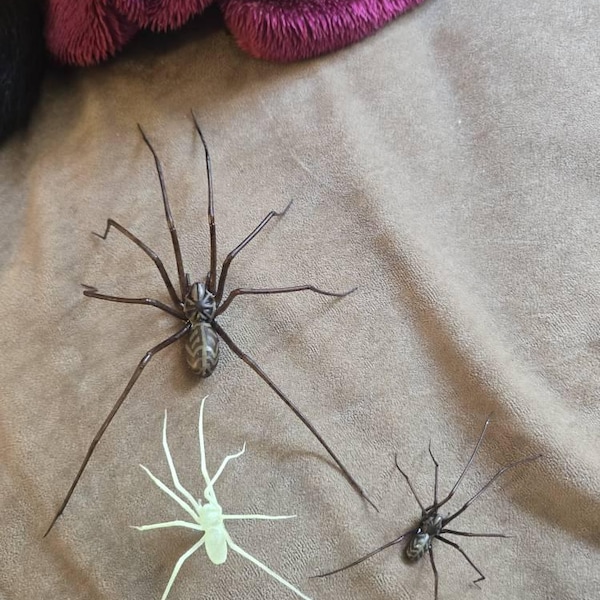 Giant Plastic Spider as Decoration | Double Sized Realistic Giant House ...