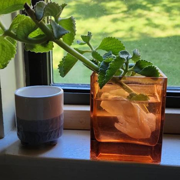 Wildcrafted Jamaican Cerasee (momordica Charantia) | Bitter Melon Dried ...