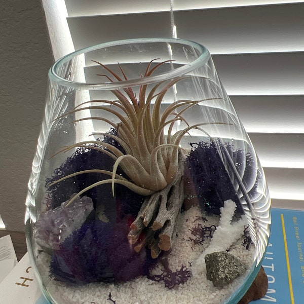 Hand-blown Glass Air Plant Terrarium With Angel Aura Crystal - Perfect ...