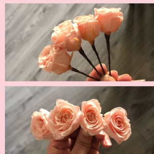 Mini Stabilized Rose on Peak, Bridal Hairstyle Peak, Natural Preserved ...