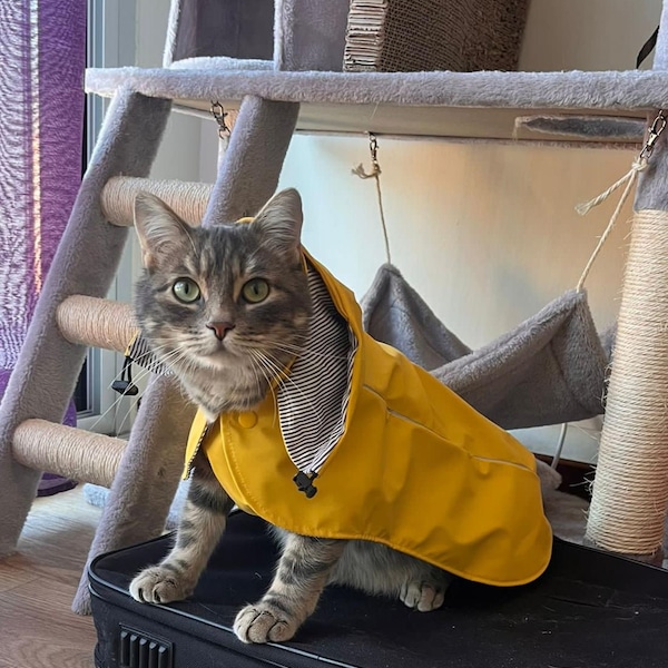 Stylish CAT Rain JACKET, Waterproof Cat Coat, Yellow Vintage Fisherman ...