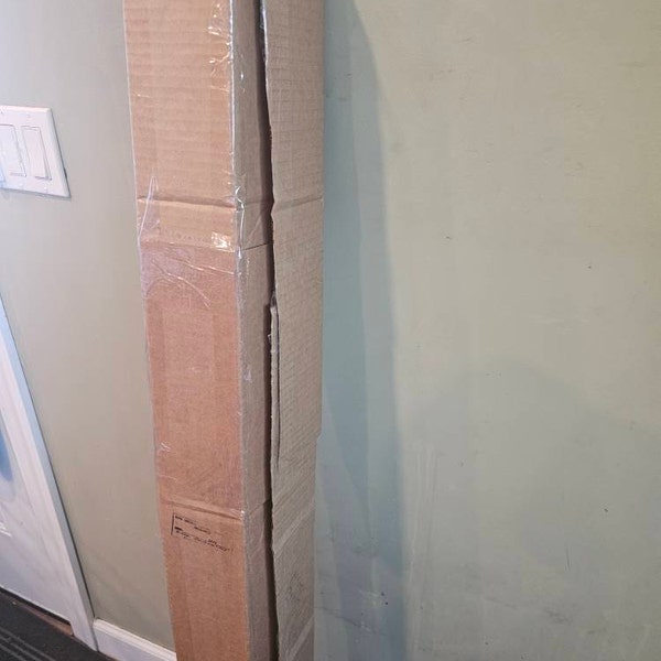 LIVE Pacay Icecream Bean Tree 'inga Feuillei' Rooted in a Small Pot ...